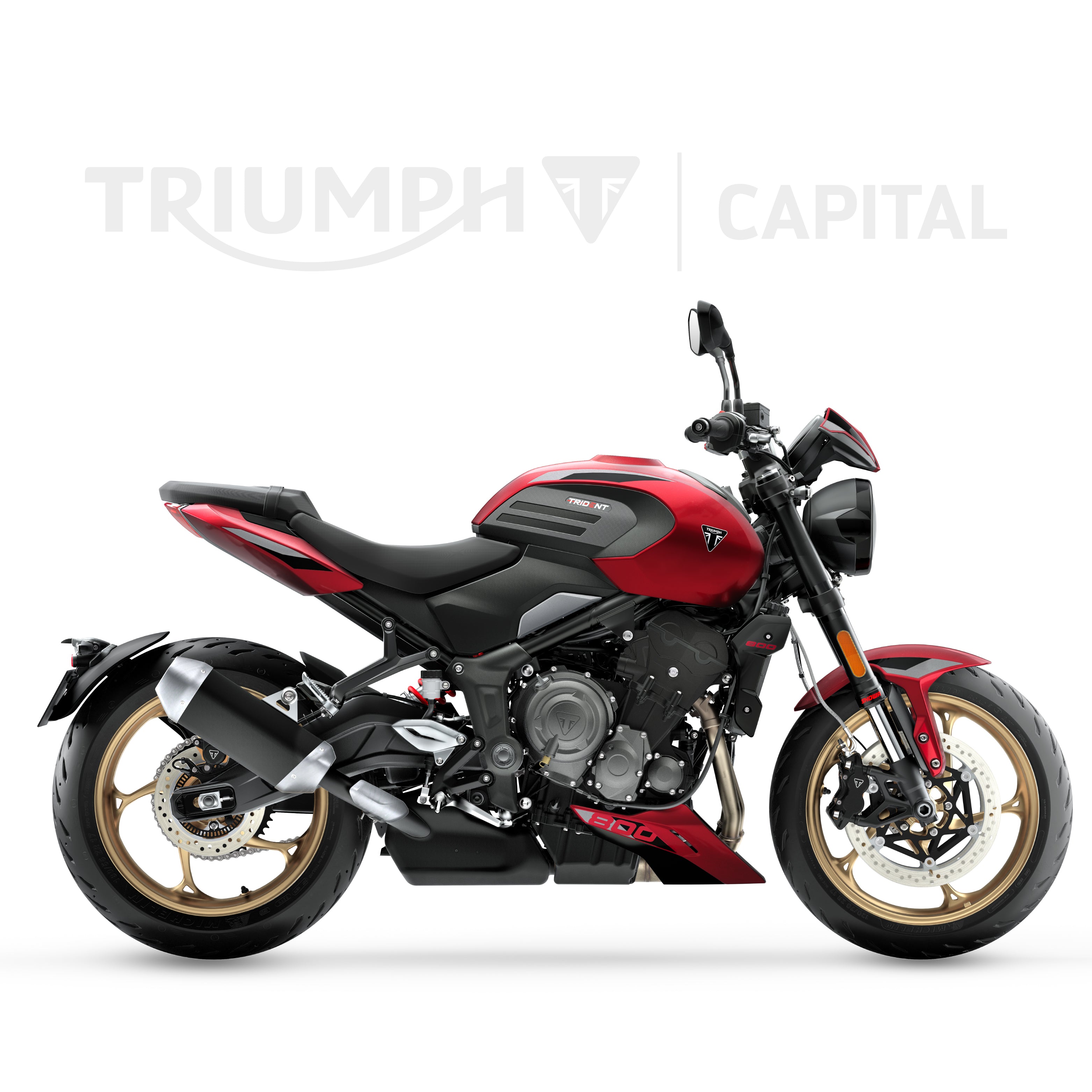 Trident 800 2026 – Triumph Capital